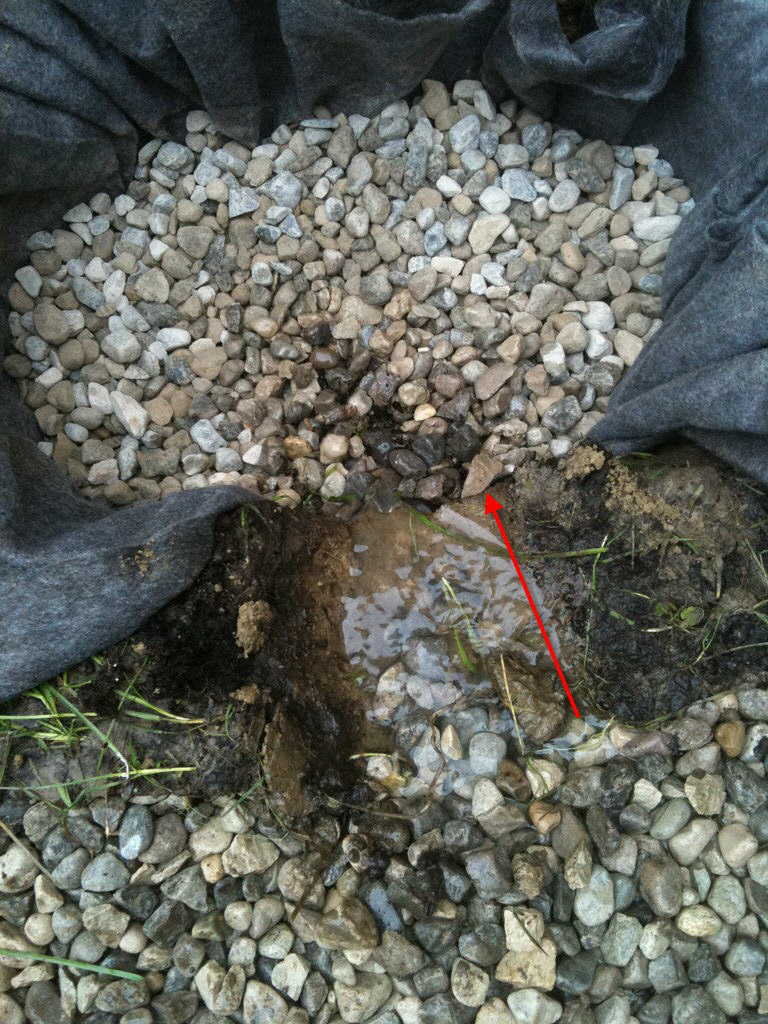 DIY Landscaping Project - Fixing Drainage in Backyard + Front yard ...