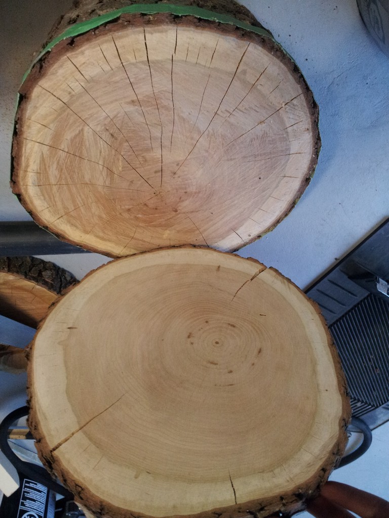 DIY Wood Log Decor Project (Wood slabs / Tree log discs from Ice Storm ...