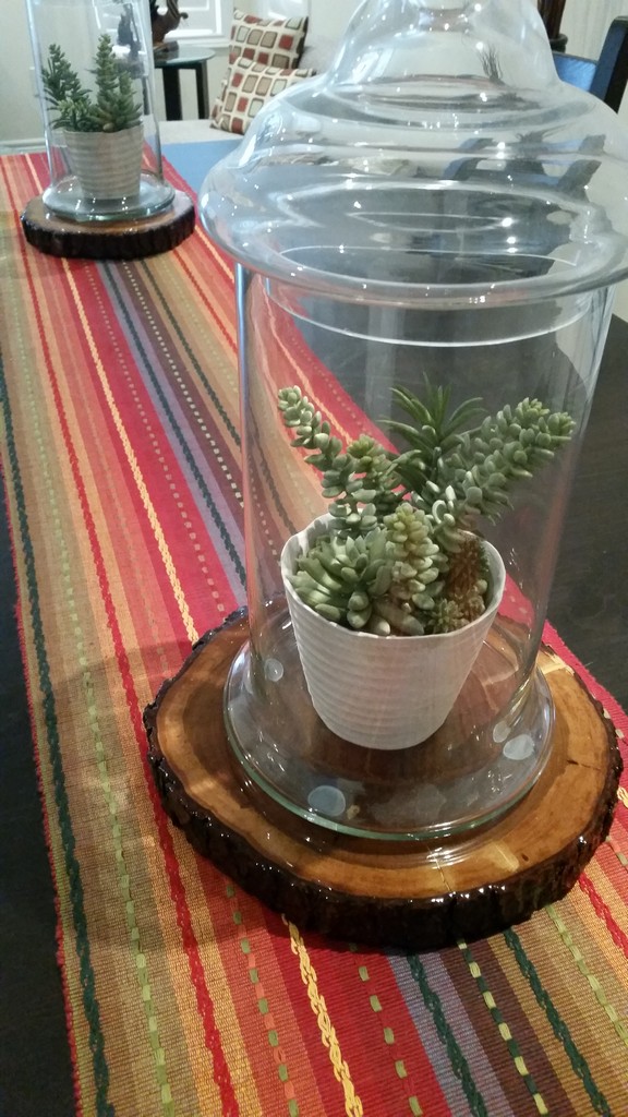 DIY Wood Log Decor Project (Wood slabs / Tree log discs from Ice Storm ...