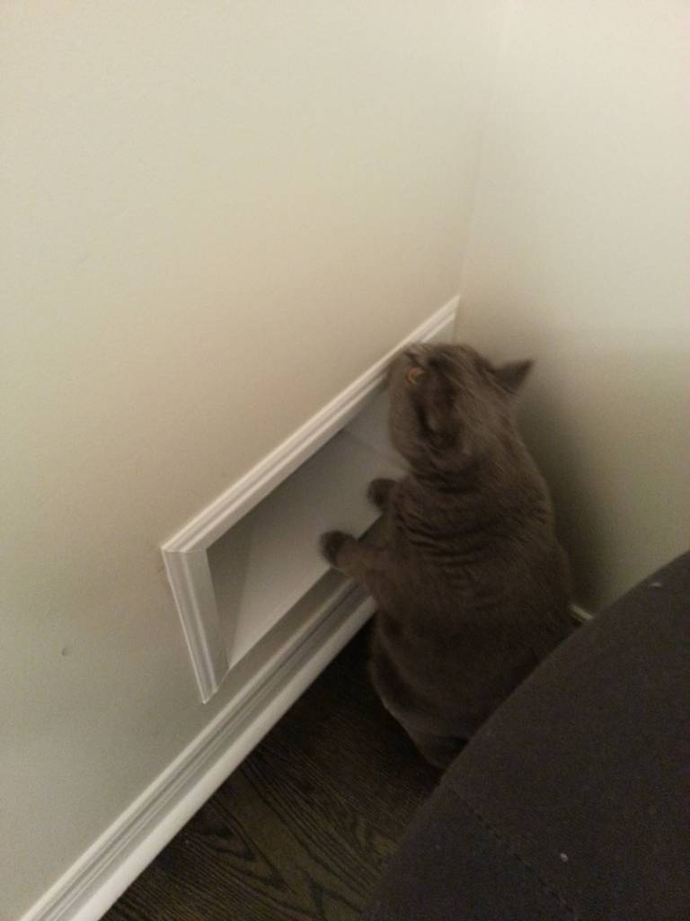 DIY Cat Tunnels / Doors / Pass Through / Bypass between rooms - DIYable.com