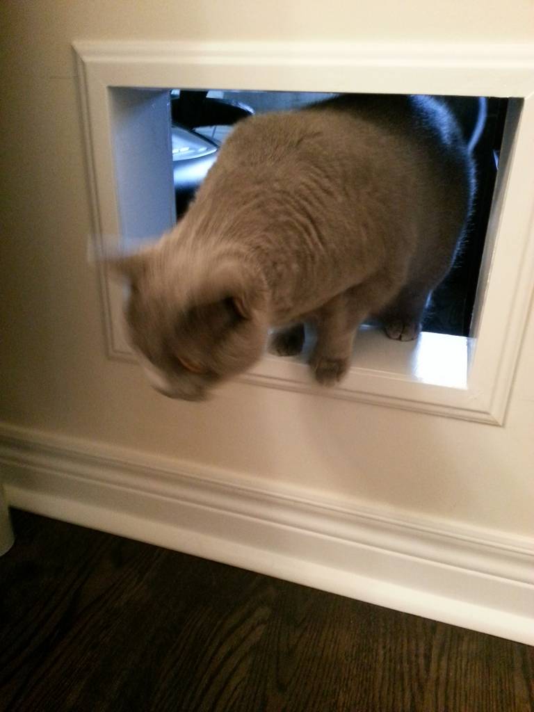 DIY Cat Tunnels / Doors / Pass Through / Bypass between rooms - DIYable.com