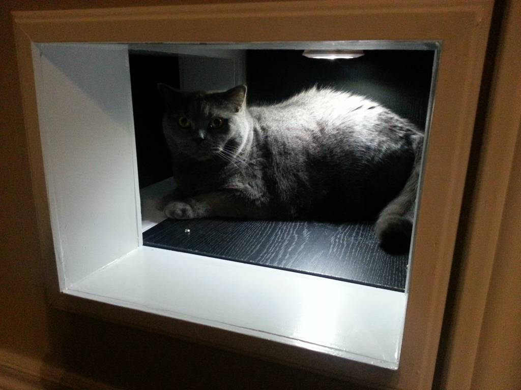 DIY Cat Tunnels / Doors / Pass Through / Bypass between rooms - DIYable.com